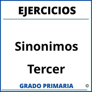Ejercicios De Sinonimos Para Niños De Primer Grado