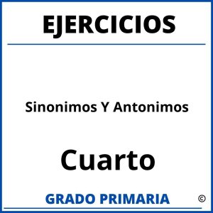 Ejercicios De Sinonimos Para Tercer Grado De Primaria